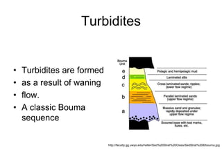vdocument.in_submarine-canyons-and-fans-submarine-canyons-major ...
