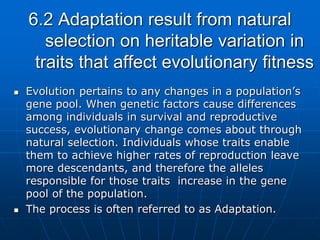 vdocument.in_biol-4120-principles-of-ecology-lecture-6-evolution-and ...