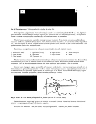 Manual Botanica Sistematica FAUSAC | PDF