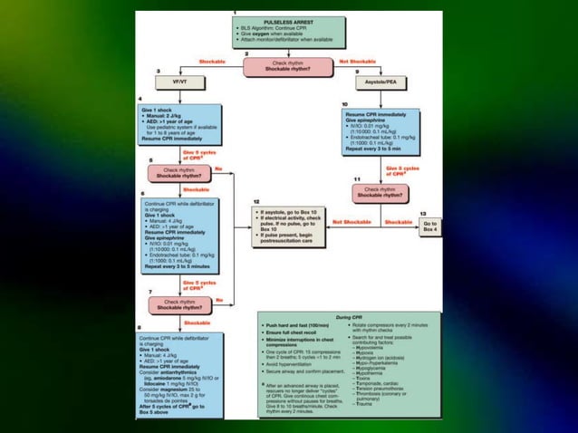 Vdocuments.mx 6 rjp-revisi | PPT