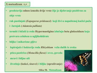 Vdocuments.mx ekoloski cimbenici | PPT
