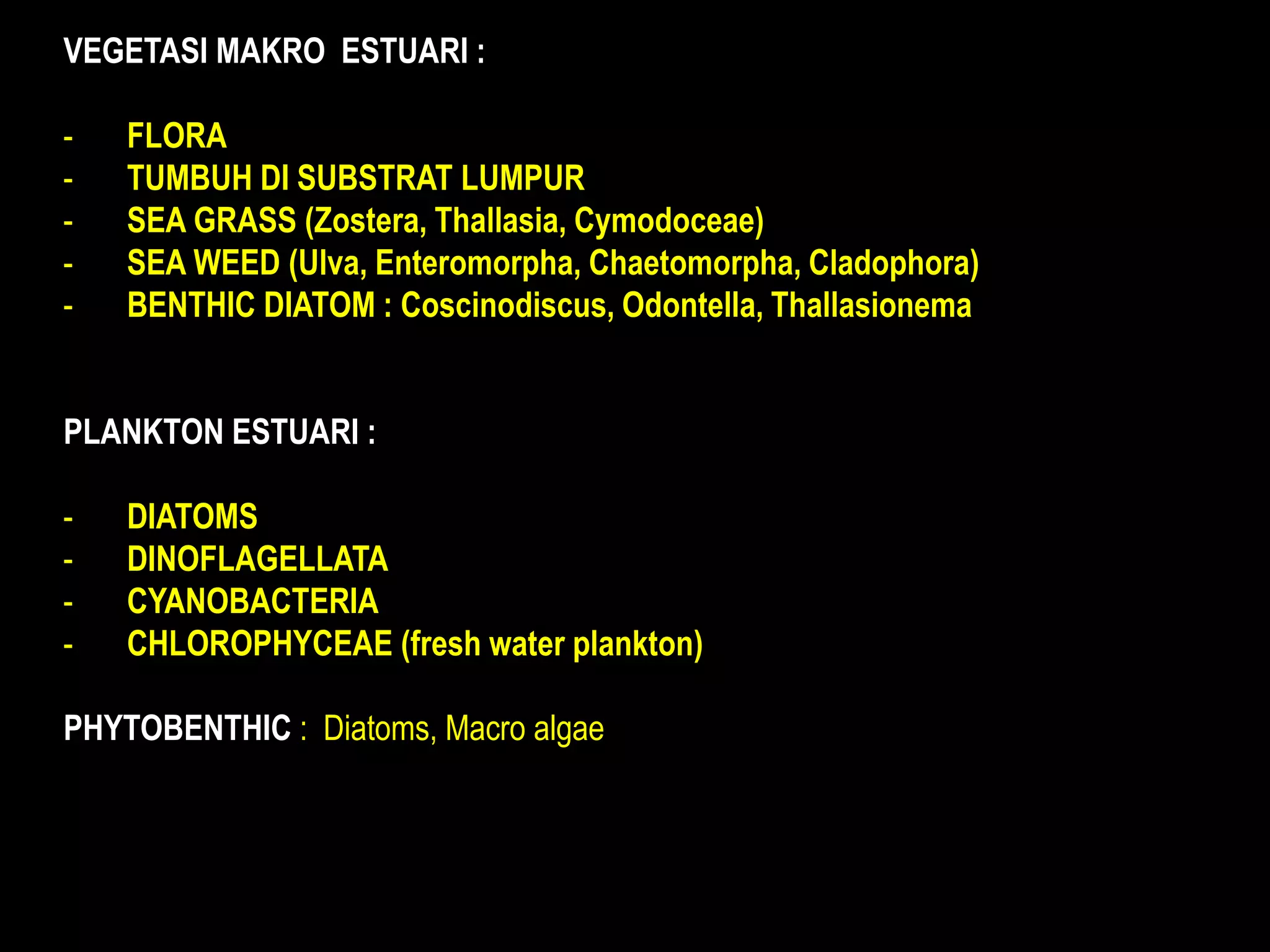 mk-ekos-ekosistem-estuaria.ppt