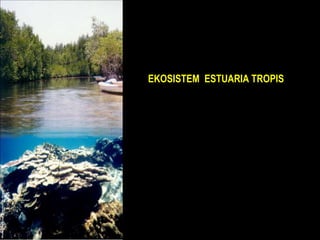 mk-ekos-ekosistem-estuaria.ppt