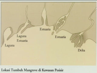 mk-ekos-ekosistem-estuaria.ppt