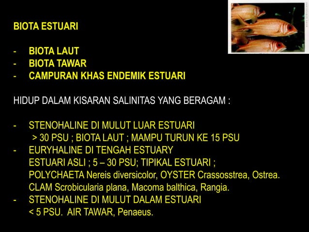 mk-ekos-ekosistem-estuaria.ppt