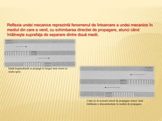 reflexia si refractia undelor mecanice.pptx