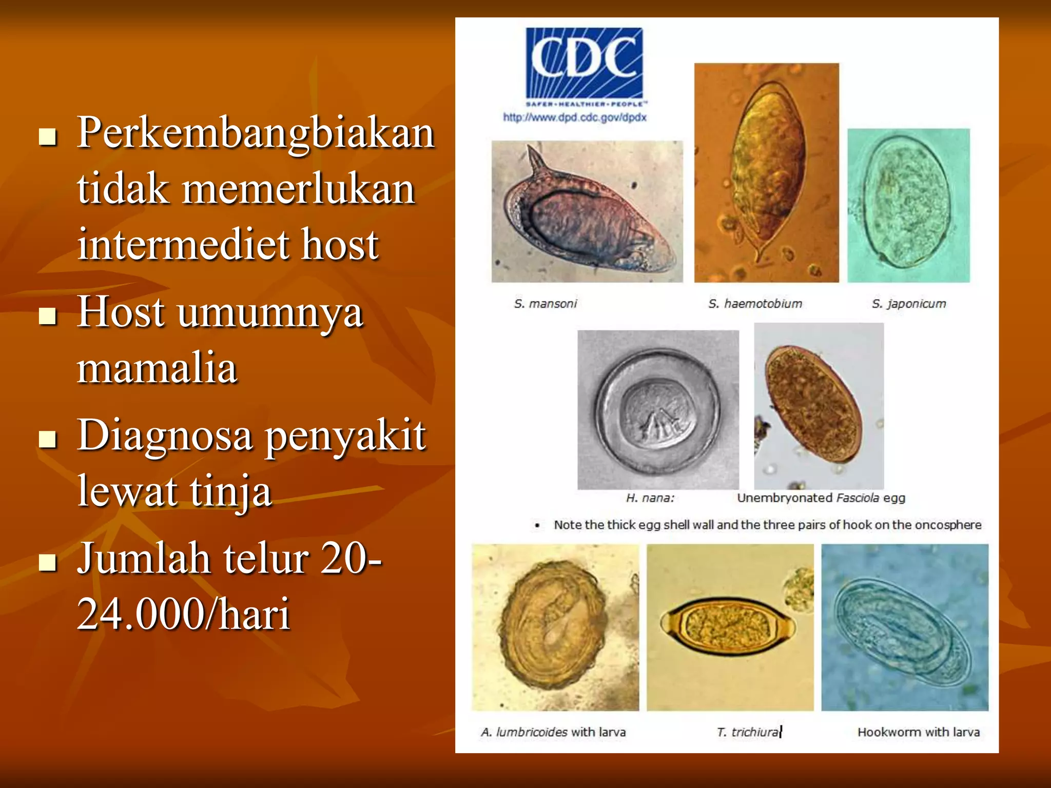 vdocuments.mx_nematoda-ususppt.ppt