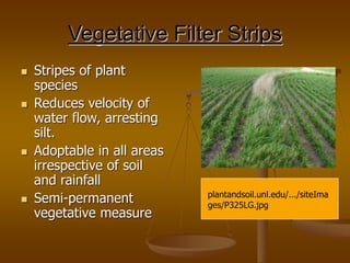 vdocuments.site_gully-control-measures.ppt