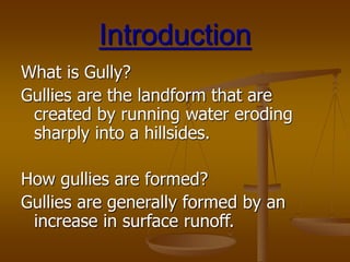 vdocuments.site_gully-control-measures.ppt