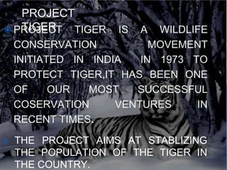 Project Tiger | PPTX