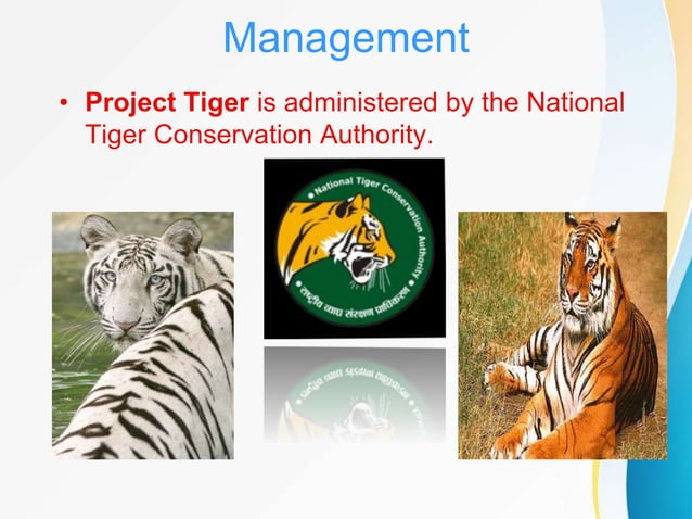 Project Tiger | PPT