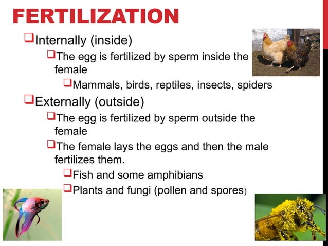 sexual-reproduction-vs-sexual-reproduction (1).pptx