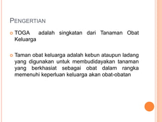 vdokumen.com_tanaman-obat-keluarga-toga.pptx