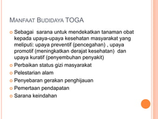 vdokumen.com_tanaman-obat-keluarga-toga.pptx