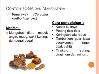 vdokumen.com_tanaman-obat-keluarga-toga.pptx