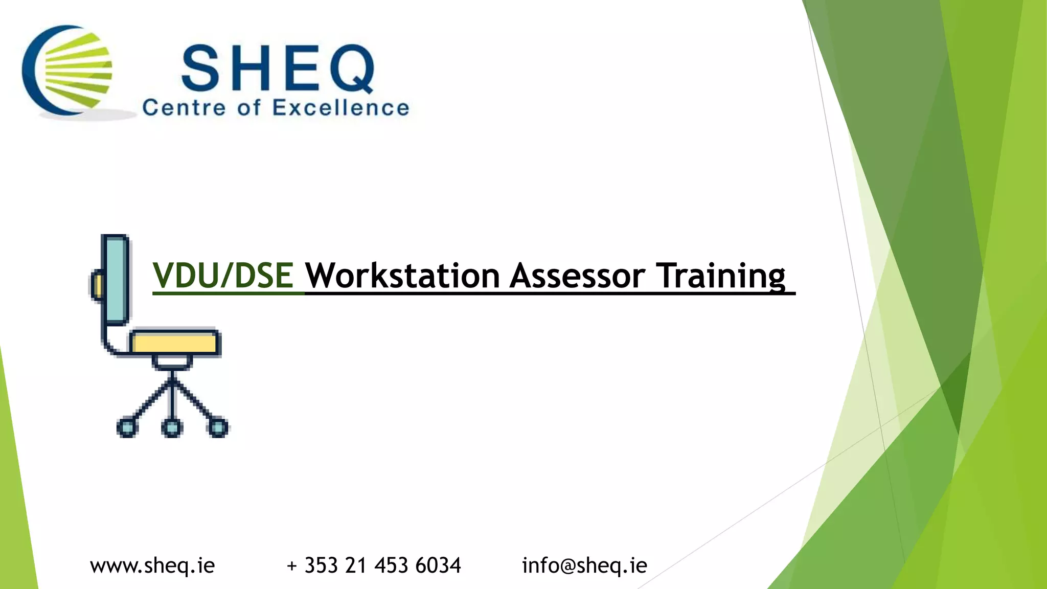 VDU/DSE Workstation Assessor Training | PPTX
