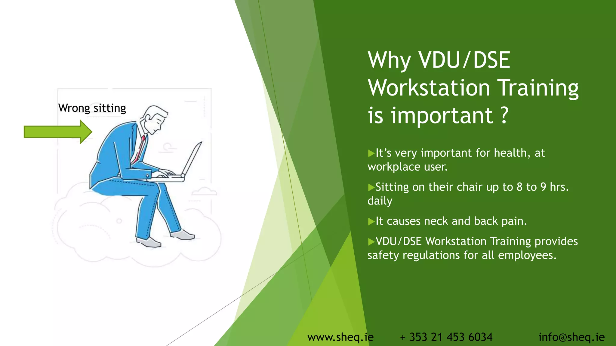 VDU/DSE Workstation Assessor Training | PPTX