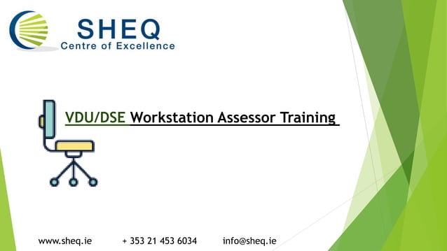 VDU/DSE Workstation Assessor Training | PPTX