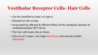 Vestibular apparatus involved in balancing and hearing process | PPTX