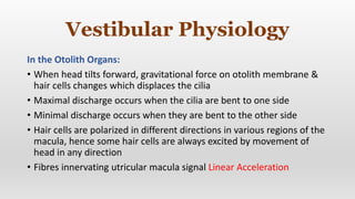 Vestibular apparatus involved in balancing and hearing process | PPTX