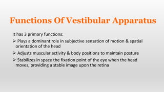 Vestibular apparatus involved in balancing and hearing process | PPTX