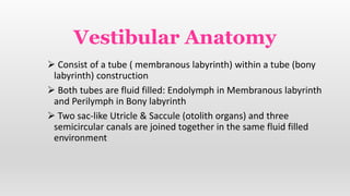 Vestibular apparatus involved in balancing and hearing process | PPTX