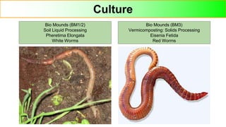 Vision Earthcare Soil Bio Technology for Waste Water Recycling | PPT