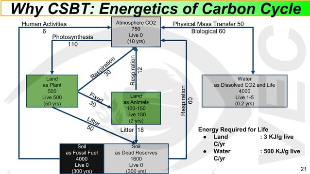 Vision Earthcare Soil Bio Technology for Waste Water Recycling | PPT