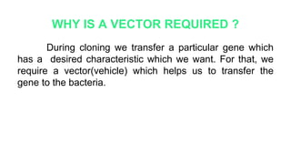 Vector construction | PPTX