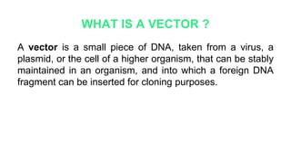 Vector construction | PPTX