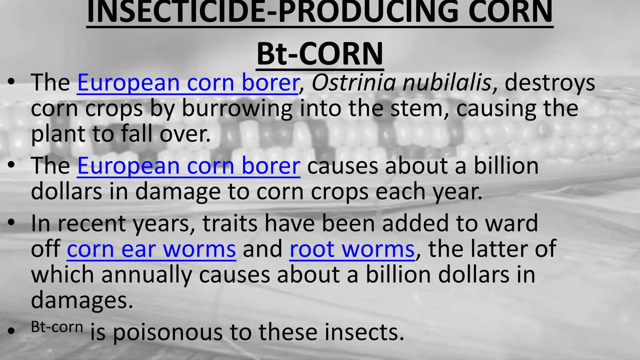 genne transfer and transgenic cotton soybean corn mustard | PPTX