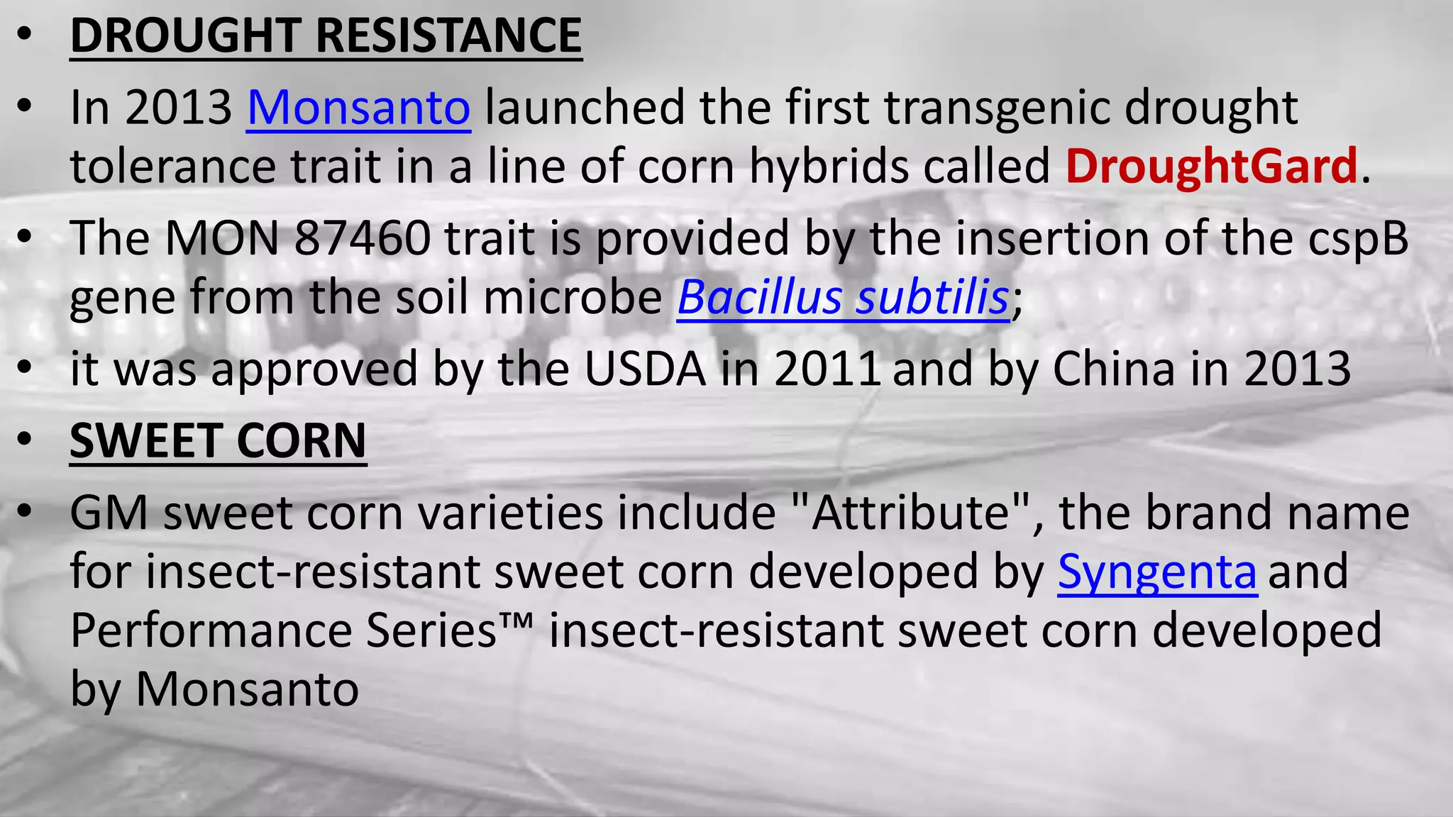 genne transfer and transgenic cotton soybean corn mustard | PPTX ...