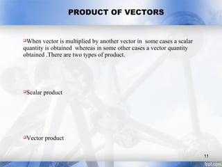 Vector | PPT