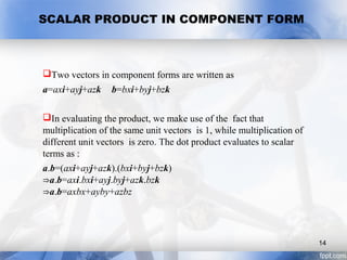 Vector | PPT | Physics | Science