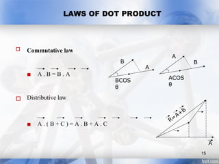 Vector | PPT | Physics | Science