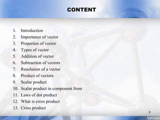 Vector | PPT | Physics | Science