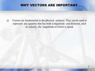 Vector | PPT | Physics | Science