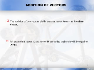 Vector | PPT | Physics | Science