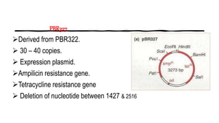 Vector | PPTX | Biological Sciences | Science