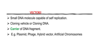 Vector | PPTX | Biological Sciences | Science