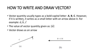 Vector | PPT