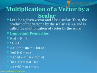 Vector algebra | PPT