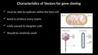 vector used in recombinant DNA technology | PPTX