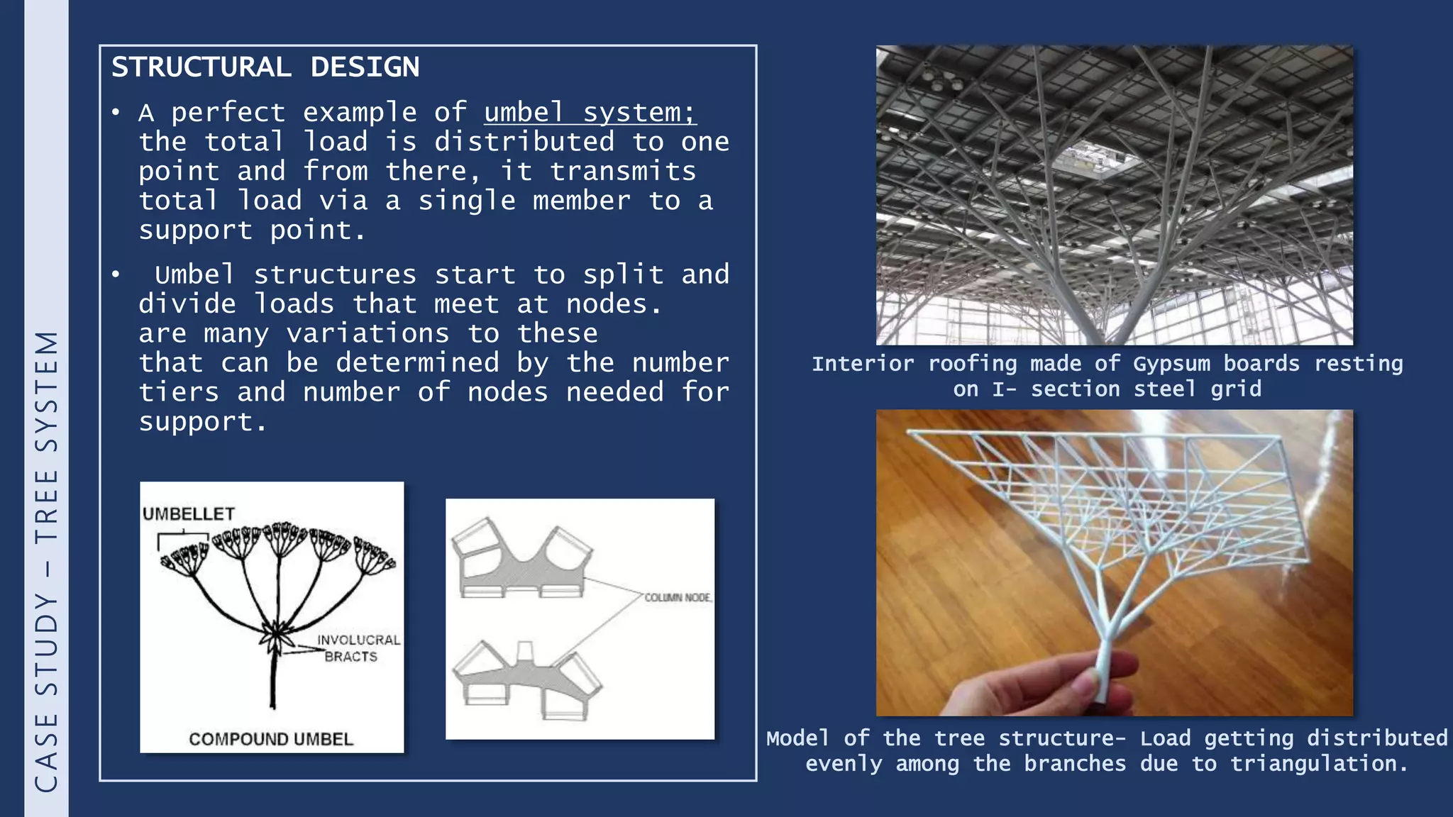 Vector active systems | PPTX