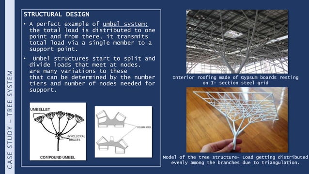 Vector active systems | PPTX | Rail Travel | Travel Type