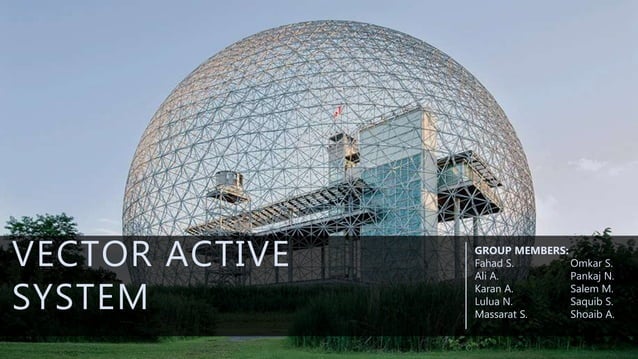 Vector active systems | PPT