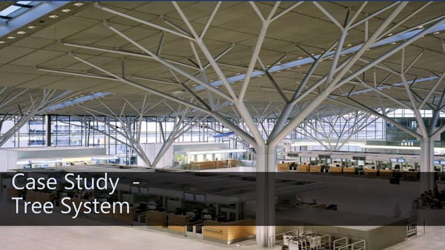 Vector active systems