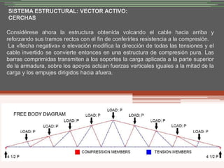 Sistema Estructural - Vector Activo | PPTX
