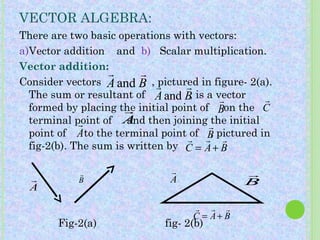 Vector analysis | PPT