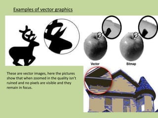 Vector and bitmap | PPTX